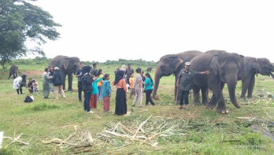 Harga Tiket Masuk dan Konsep Baru Wisata Taman Nasional Way Kambas Lampung | Lampung77.com