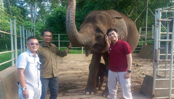 Kepala BKSDA Bengkulu-Lampung Kunjungi Lembah Hijau, Lihat Bayi Gajah ...
